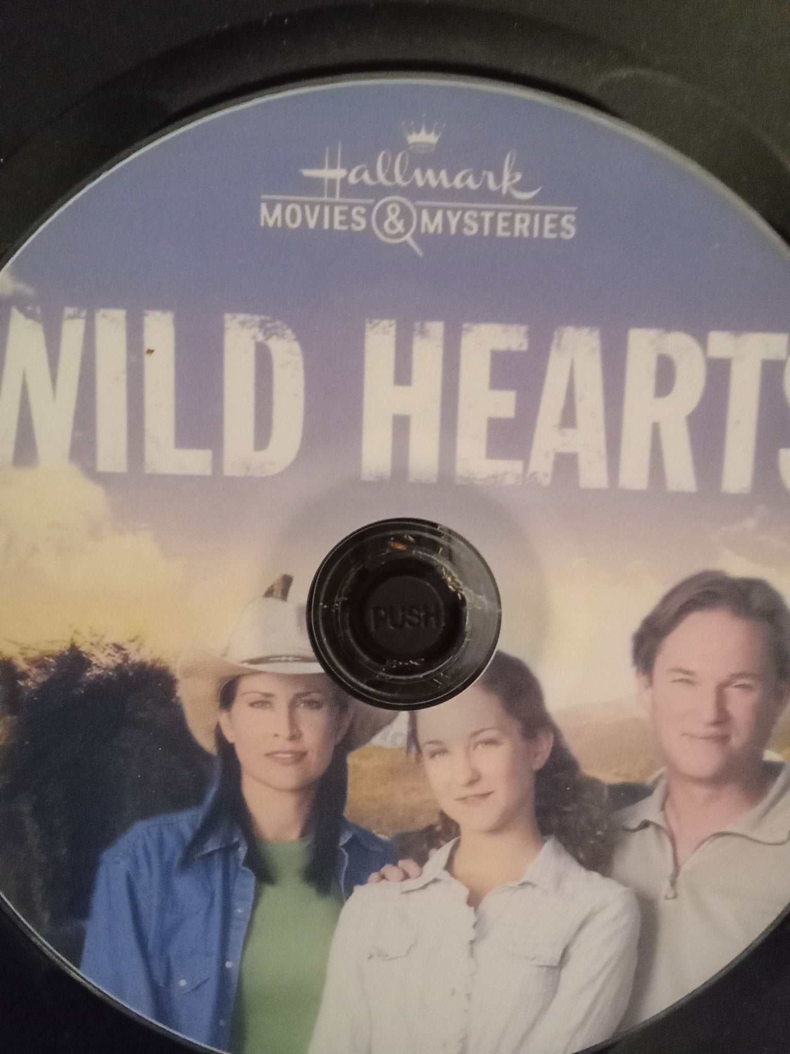 Wild Hearts (can't be broken) (1991) DVD with Gabrielle Anwar – lasvegasvideo
