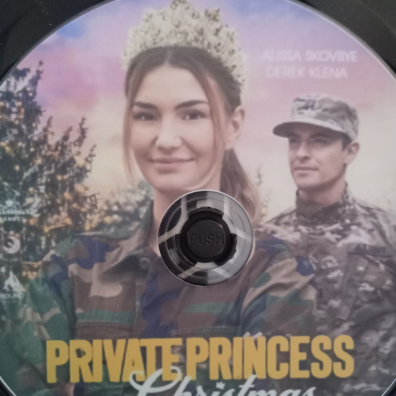 Private Princess Christmas (2024) DVD with Ali Skovbye & Erica Durance ...